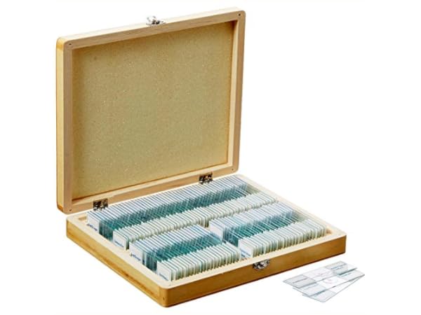 Top 10 Best Acrylic Lab Microscope Slides in 2025 - FindThisBest (UK)