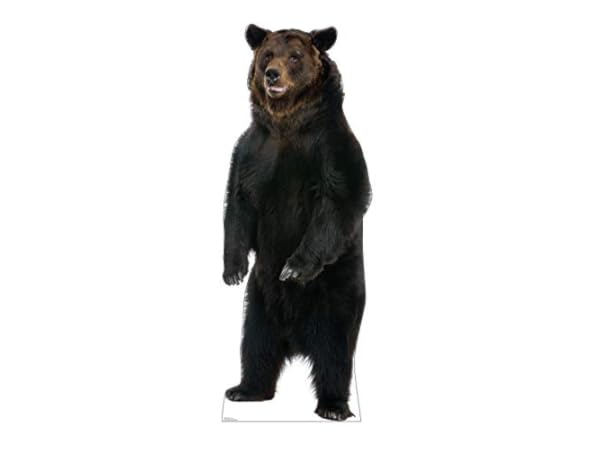 The 5 Best Advanced Graphics Cardboard Cutouts of 2025 - FindThisBest (UK)