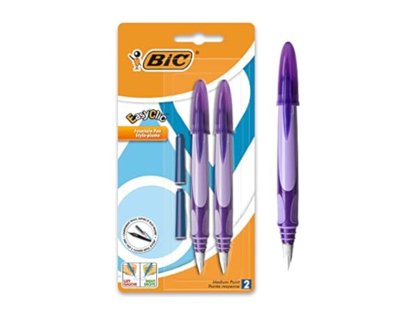 The 10 Best Bic Fountain Pens of 2024 - FindThisBest (UK)