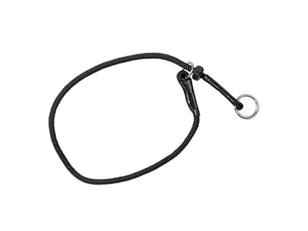 Top 10 Best Choke Collars in 2025 - FindThisBest (UK)