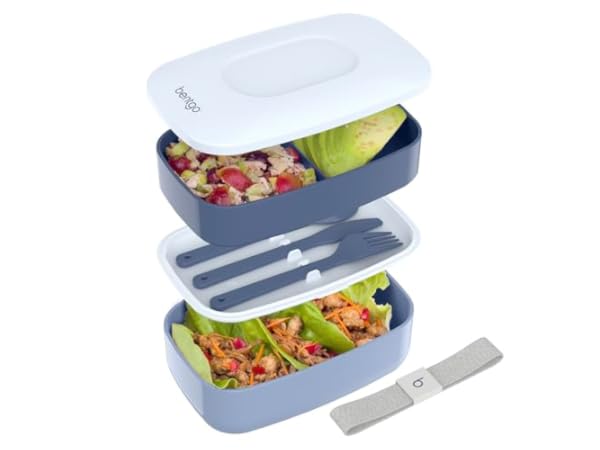 Top 10 Best Classic Bento Boxes in 2025 - FindThisBest (UK)