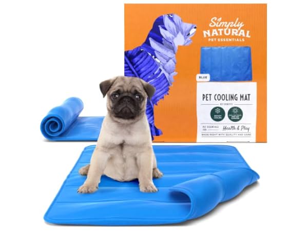 Top 10 Best Cooling Dog Bed Mats in 2025 - FindThisBest (UK)