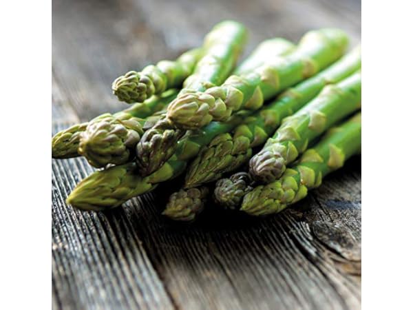 Top 10 Best Crown Vegetable Plants in 2025 - FindThisBest (UK)