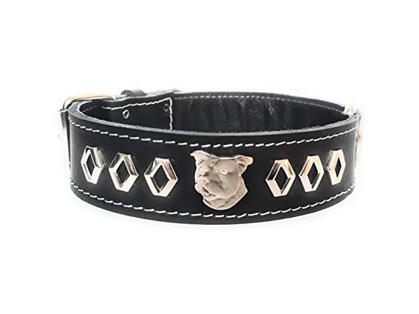 Top 10 Best Dog Collars for Staffordshire Bull Terrier in 2023 ...