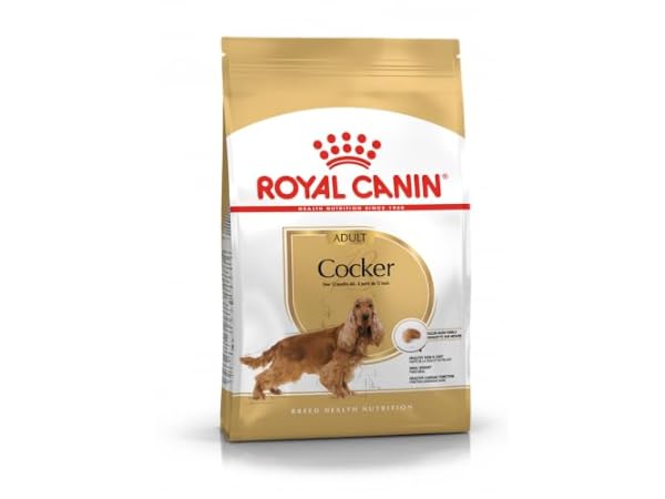 Top 4 Best Dog Food for Cocker Spaniel in 2025 - FindThisBest (UK)