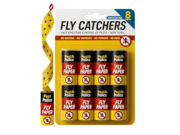 Top 10 Best Fly Papers in 2026 - FindThisBest (UK)