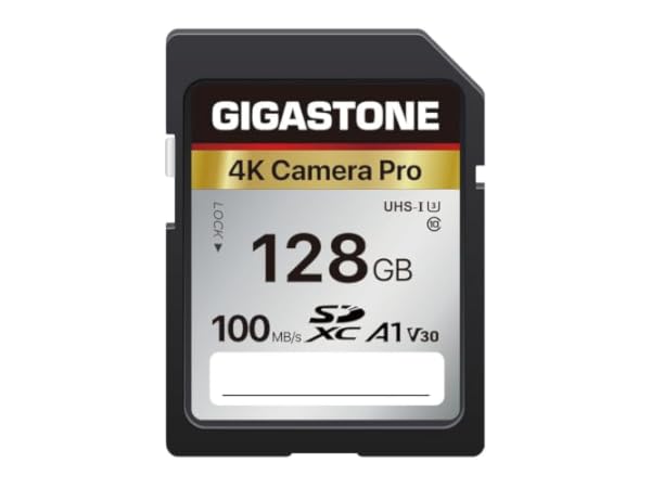 The 10 Best Gigastone Memory Cards of 2025 - FindThisBest (UK)