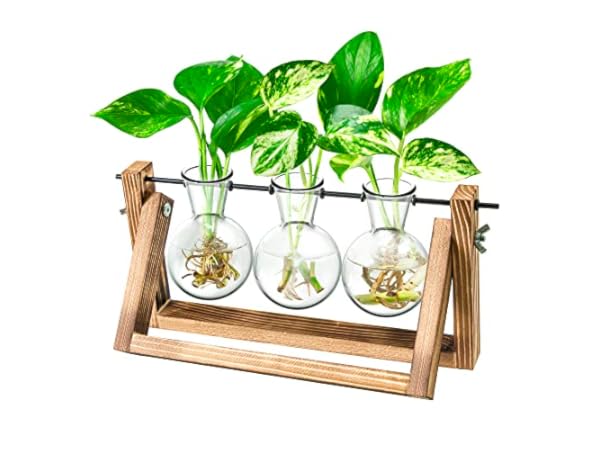 Top 10 Best Glass Plant Stands in 2026 - FindThisBest (UK)