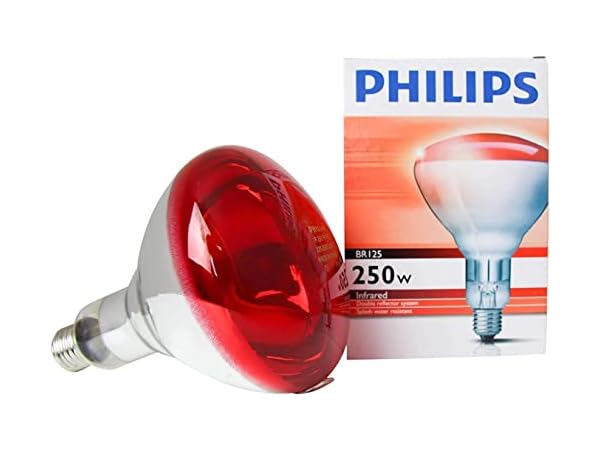 Top 10 Best Infrared Bulbs in 2024 - FindThisBest (UK)