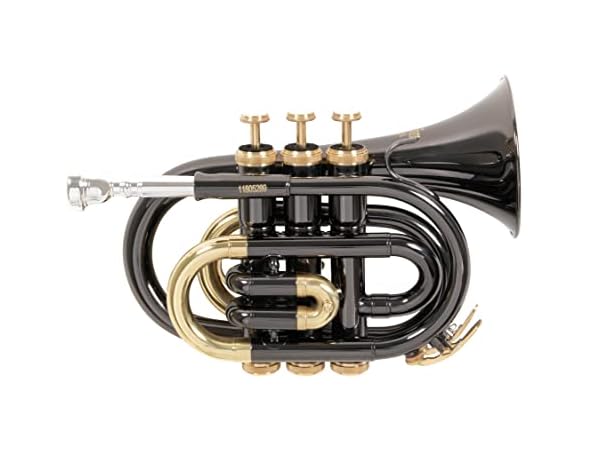 Top 5 Best Lacquered Trumpets in 2025 - FindThisBest (UK)
