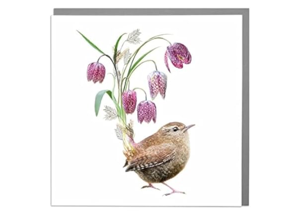 The 10 Best Lola Design ltd Greeting Cards of 2026 - FindThisBest (UK)