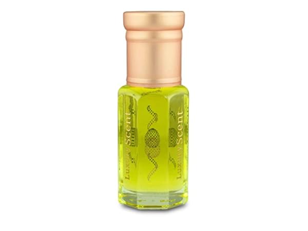 Top 9 Best Mint Perfume Oils for Women in 2023 - FindThisBest (UK)