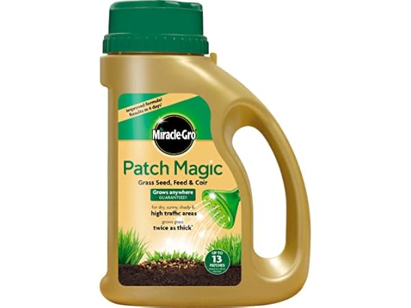 The 7 Best Miracle-Gro Grass Seeds of 2026 - FindThisBest (UK)