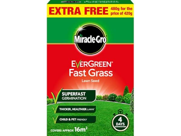 The 10 Best Miracle-Gro Grass Seeds of 2025 - FindThisBest (UK)