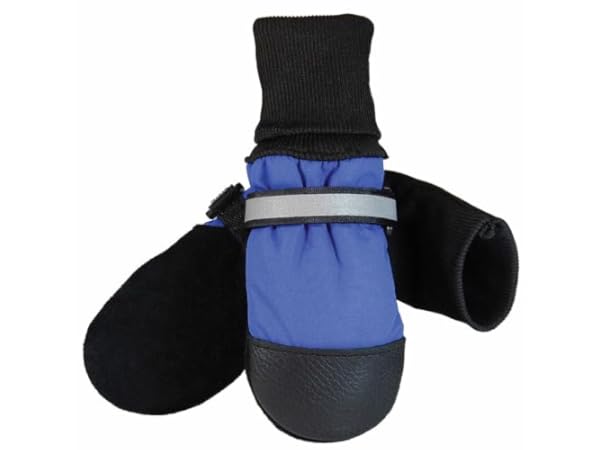 The 10 Best Muttluks Dog Boots of 2025 - FindThisBest (UK)