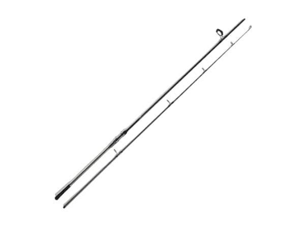 Top 4 Best Parabolic Fishing Rods in 2025 - FindThisBest (UK)