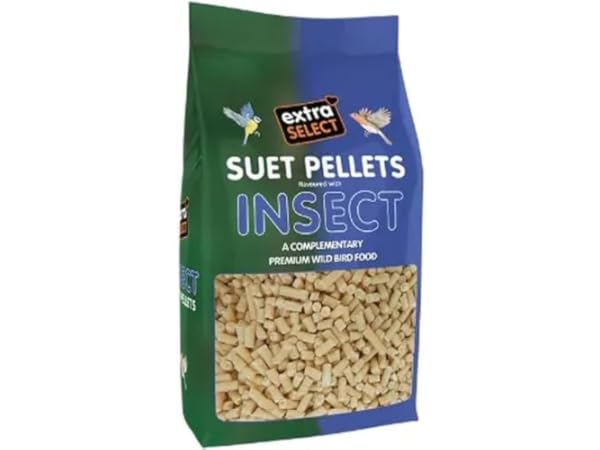 Top 10 Best Pellet Bird Suet in 2025 - FindThisBest (UK)