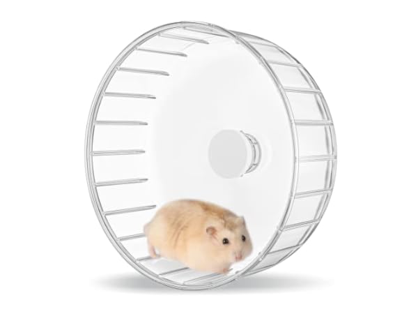 Top 10 Best Rat Exercise Wheels in 2025 - FindThisBest (UK)