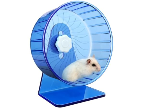 Top 6 Best Rat Exercise Wheels in 2026 - FindThisBest (UK)