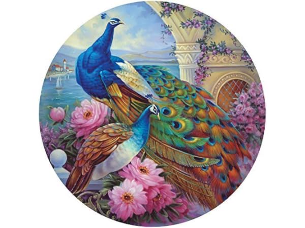 Top 10 Best Round Jigsaw Puzzles in 2025 - FindThisBest (UK)