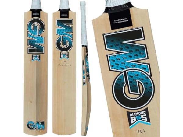 Top 10 Best Short Handle Cricket Bats in 2025 - FindThisBest (UK)