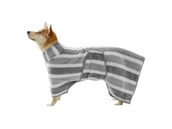 Top 10 Best Snap Dog Coats in 2025 - FindThisBest (UK)