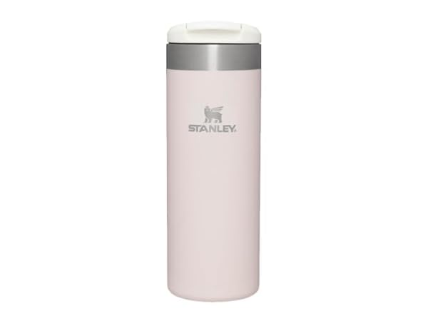 The 6 Best Stanley Travel Mugs of 2026 - FindThisBest (UK)