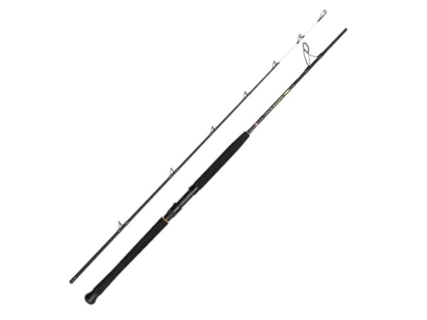 Top 6 Best Strong Fishing Rods in 2026 - FindThisBest (UK)