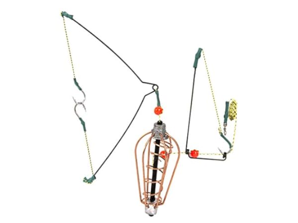 Top 10 Best Tench Fishing Bait Rigs in 2025 - FindThisBest (UK)