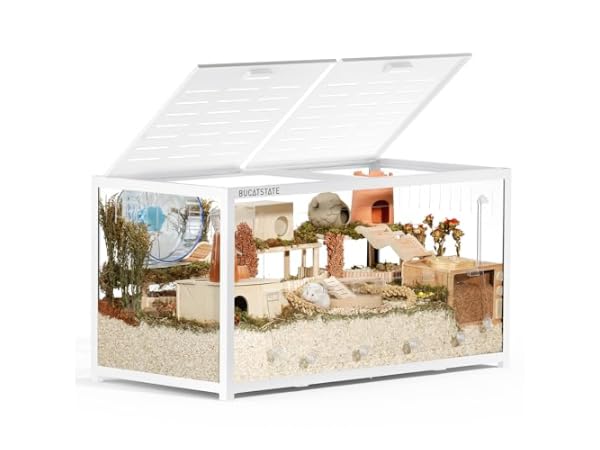 Top 10 Best Top Access Small Animal Cages in 2026 - FindThisBest (UK)