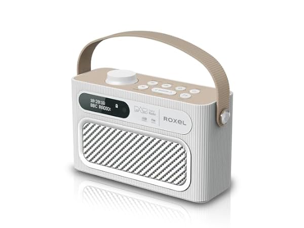 Top 10 Best Wireless DAB Radios in 2026 - FindThisBest (UK)